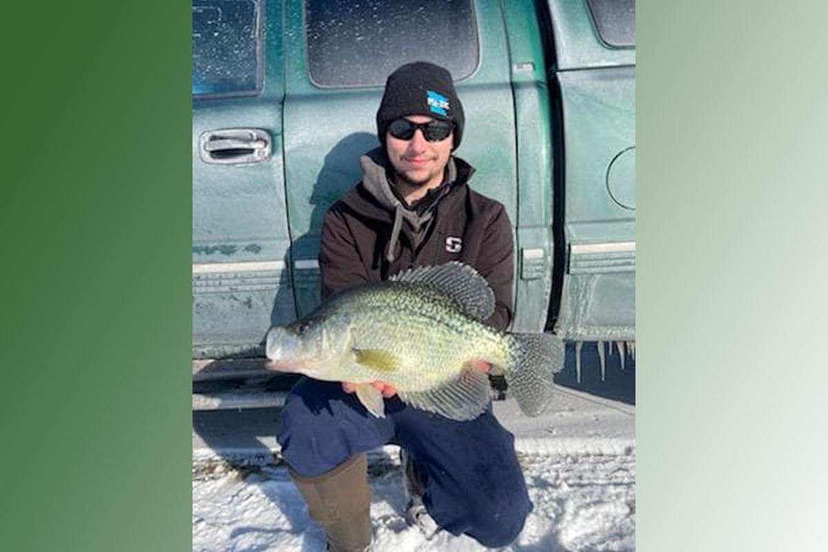 Minnesota Angler Lands Massive Crappie While Ice Fishing - Premier Angler